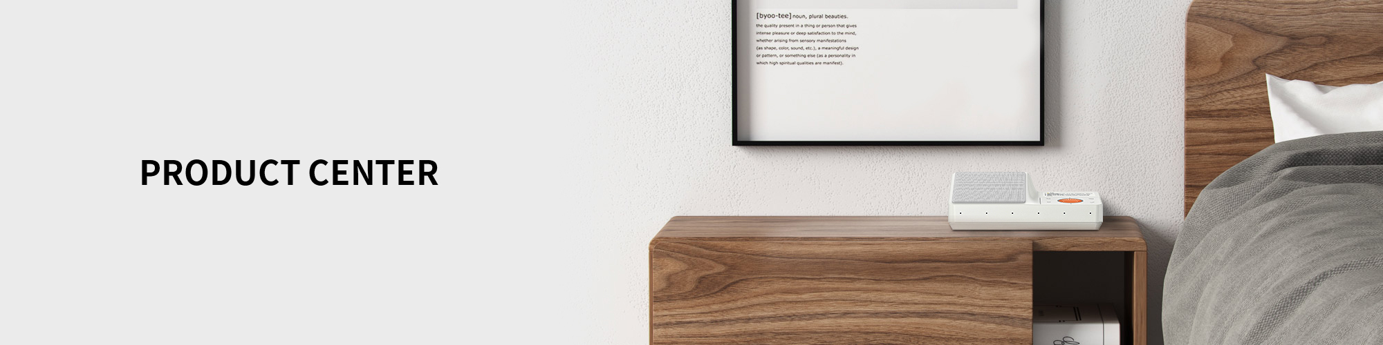 AI Companion Robot-Shenzhen Steed Technology Co., Ltd